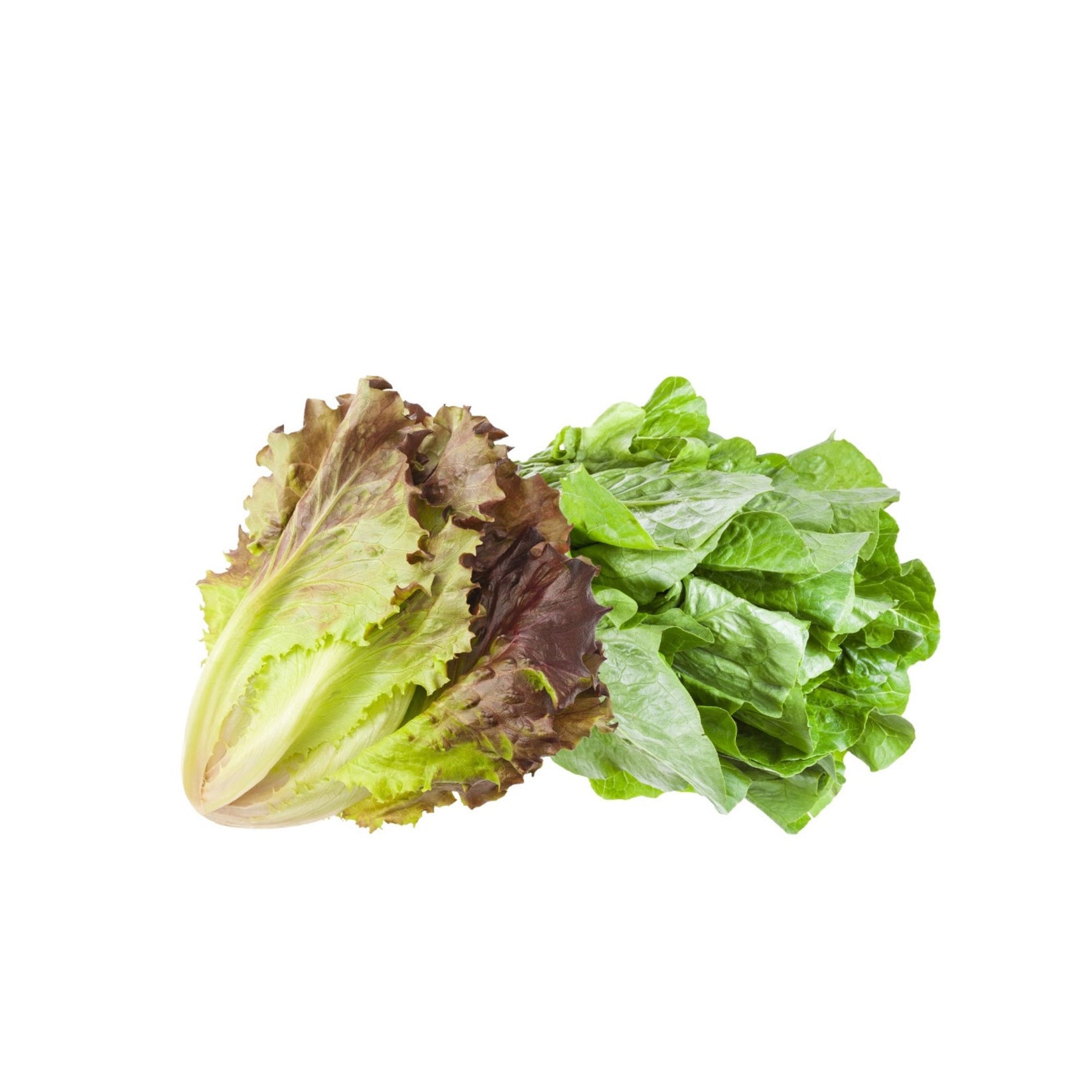 200g Organic Lettuce Mix – Orchard Food